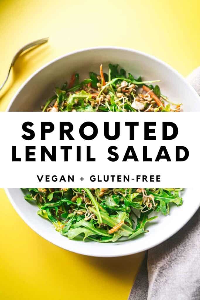 Sprouted Lentil Salad Recipe - The Wonderful World of Sprouts