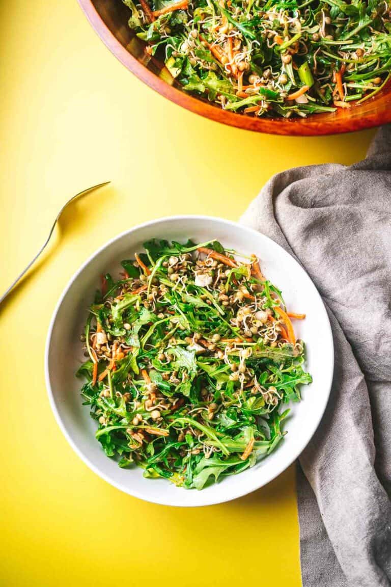 Sprouted Lentil Salad Recipe - The Wonderful World of Sprouts