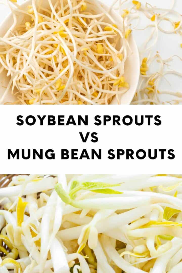 Soybean Sprouts vs Mung Bean Sprouts