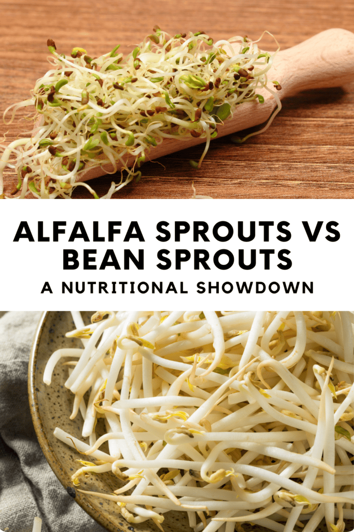 Alfalfa Sprouts VS Bean Sprouts: A Nutritional Showdown