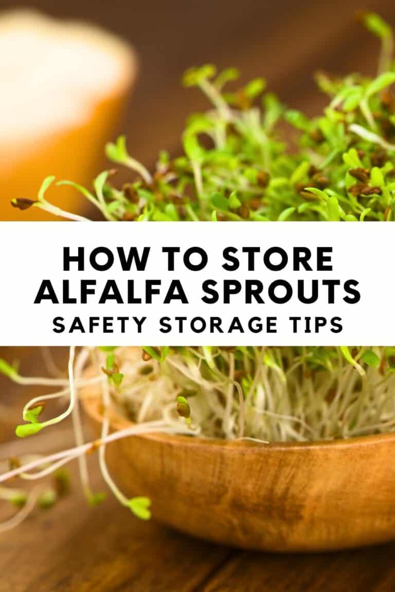 How to Store Alfalfa Sprouts: Safety Storage Tips