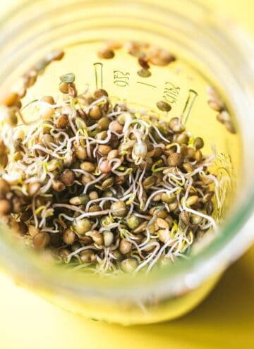 Eating Sprouts and Sprout Recipes - The Wonderful World of Sprouts