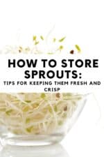 How to Store Sprouts: Tips for Keeping Them Fresh and Crisp