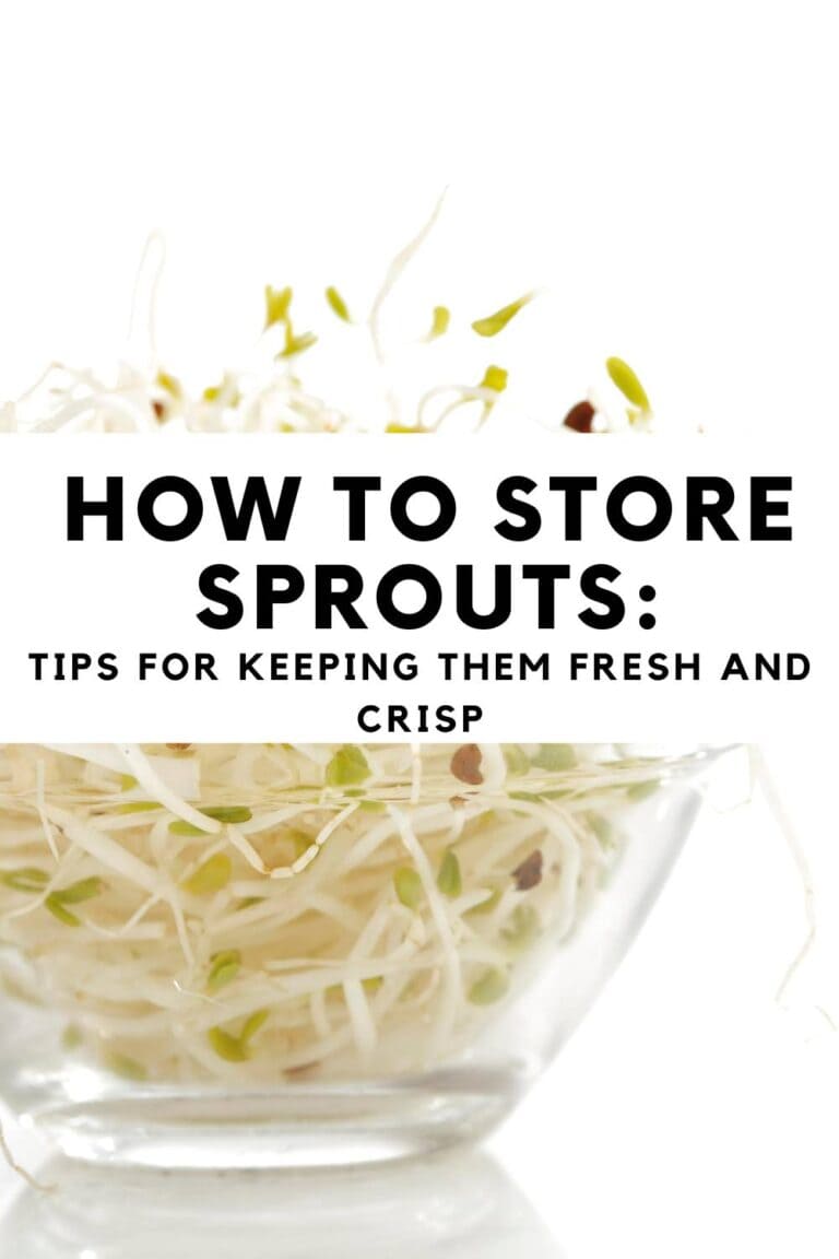How to Store Sprouts: Tips for Keeping Them Fresh and Crisp