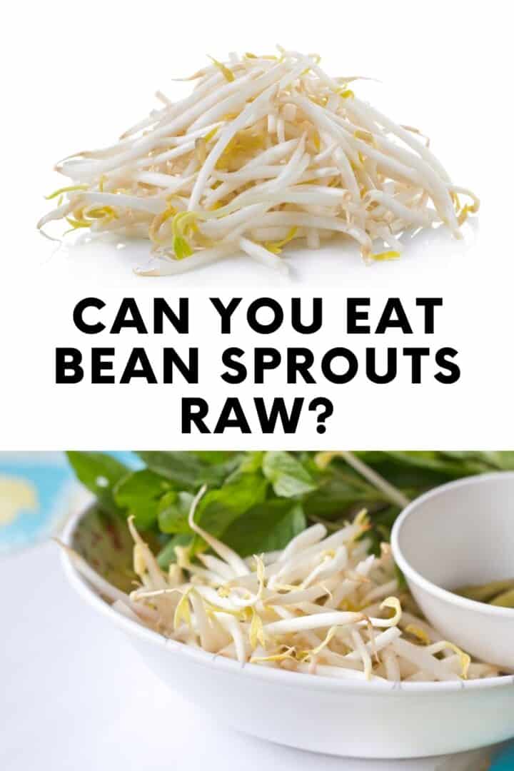 Can You Eat Bean Sprouts Raw? - The Wonderful World of Sprouts