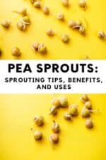 Pea Sprouts: How to Sprout Peas