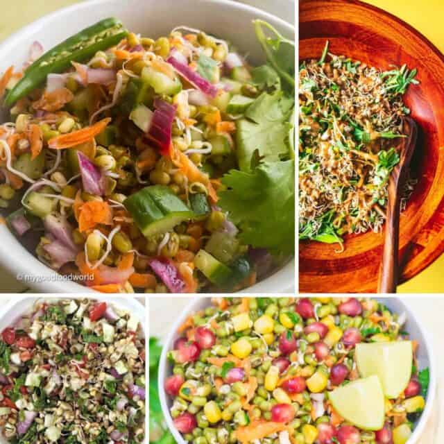 A Comprehensive Guide to Different Types of Sprouts
